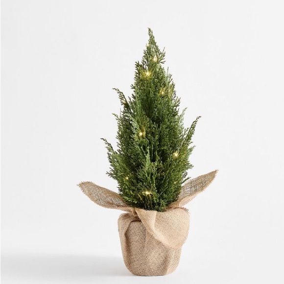 Pottery Barn | Accents | Nwt Pottery Barn Small Lit Topiary Tree With ...
